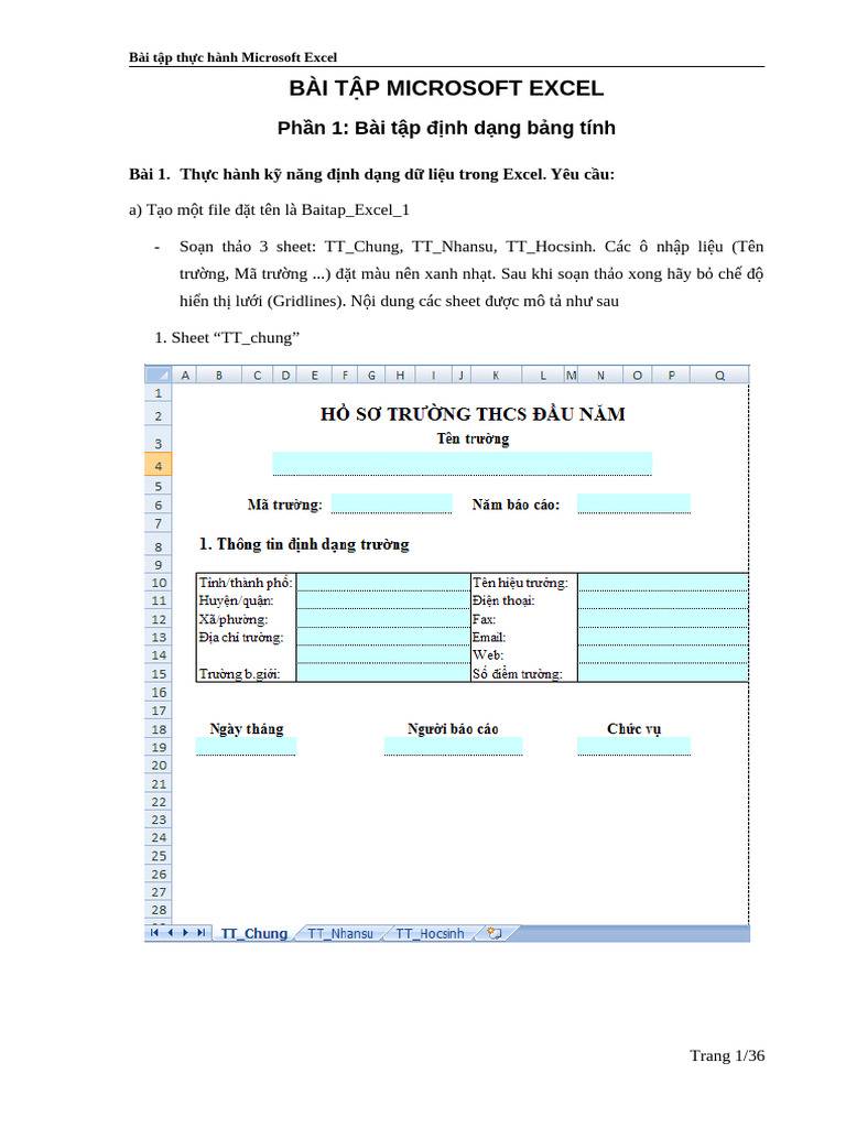 Bai Tap MS Excel | PDF