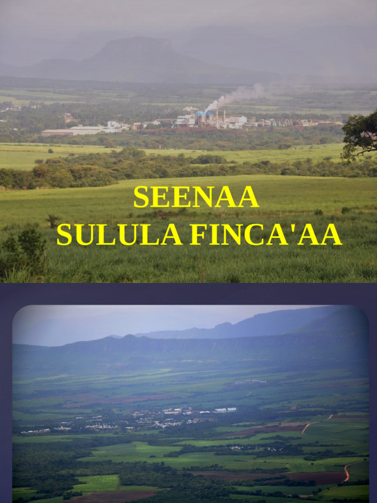 Sulula Finca'Aa | PDF