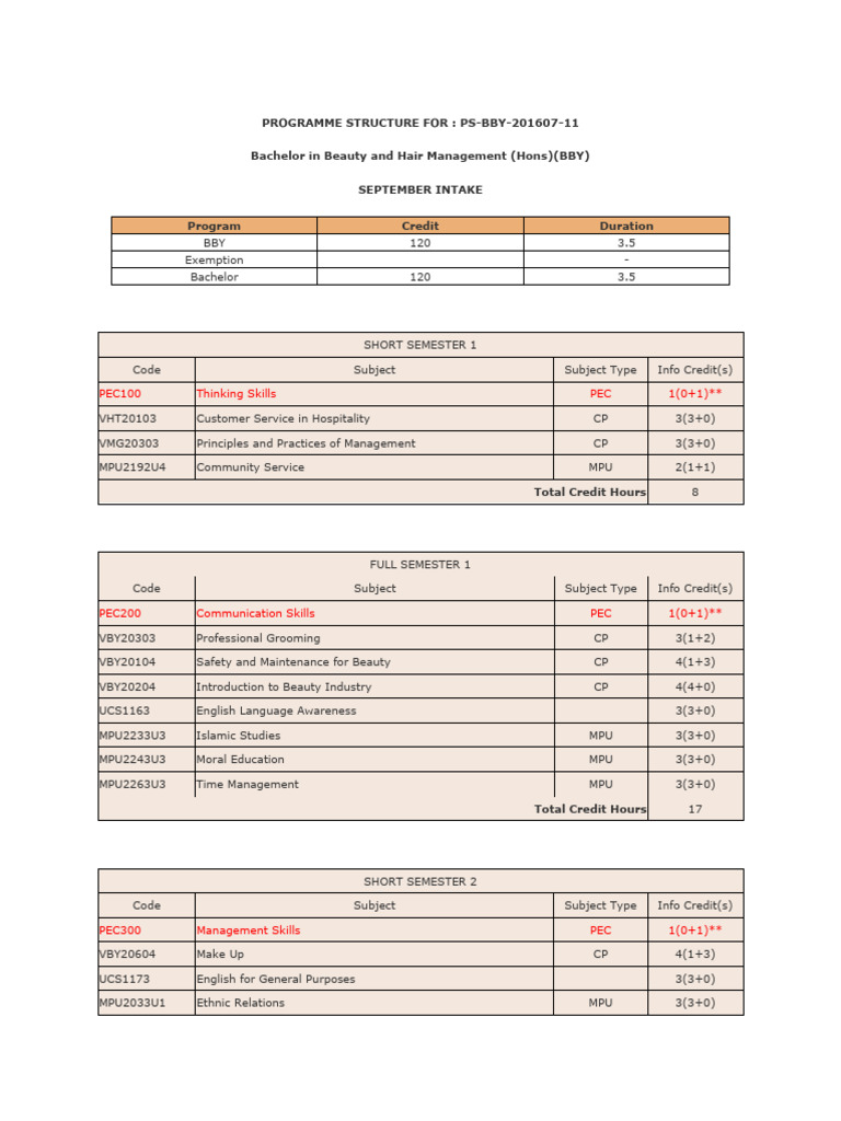 Bby Programme Structure For | PDF
