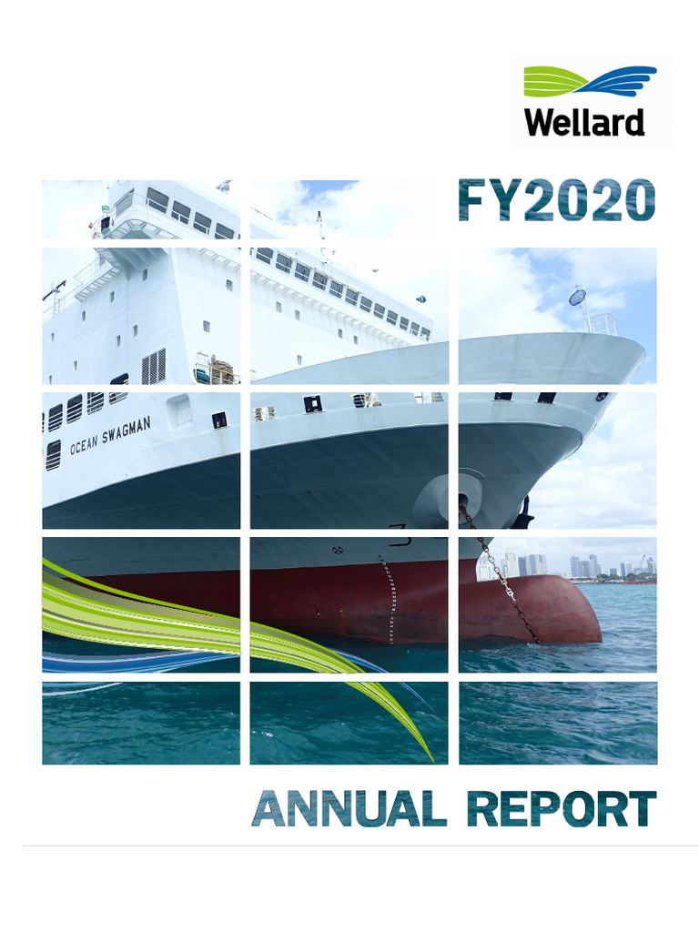 Wellard FY2020 Annual Report | PDF | Debt | Expense