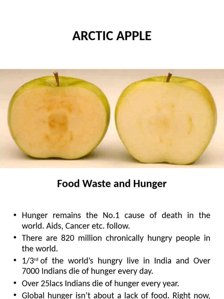 Arctic Apple | PDF | Rna Interference | Apple
