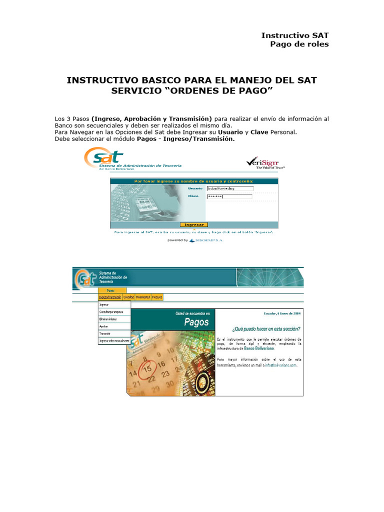 INSTRUCTIVO PAGOS Sat | PDF | Botón (Computación) | Ventana (informática)