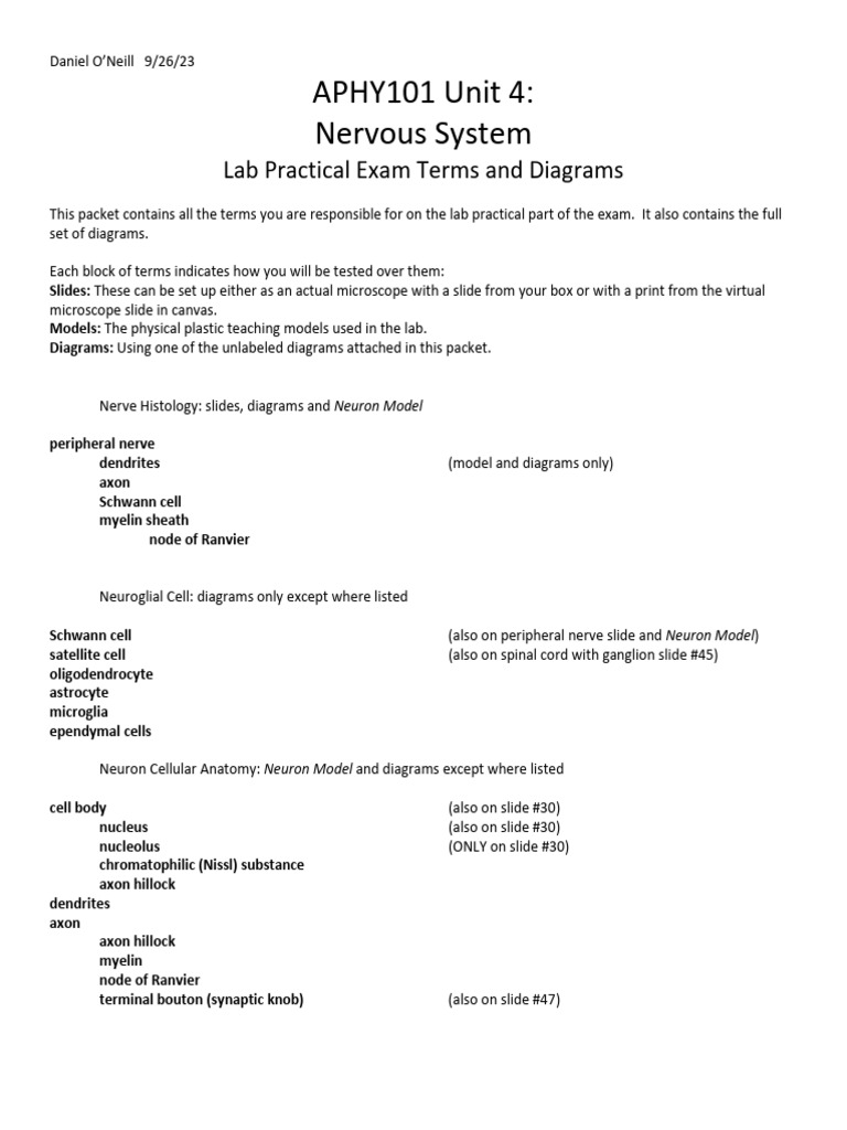 APHY101 Unit 4 Full Packet | PDF | Ear | Auditory System