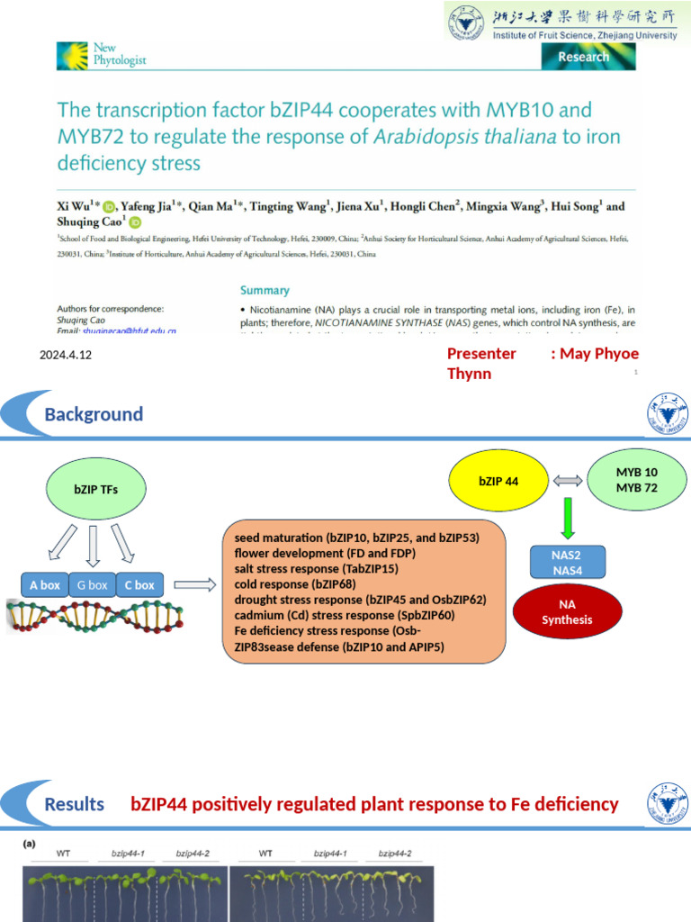 Paper Sharing MPT 2024.4.12 | PDF | Organisms | Molecular Biology