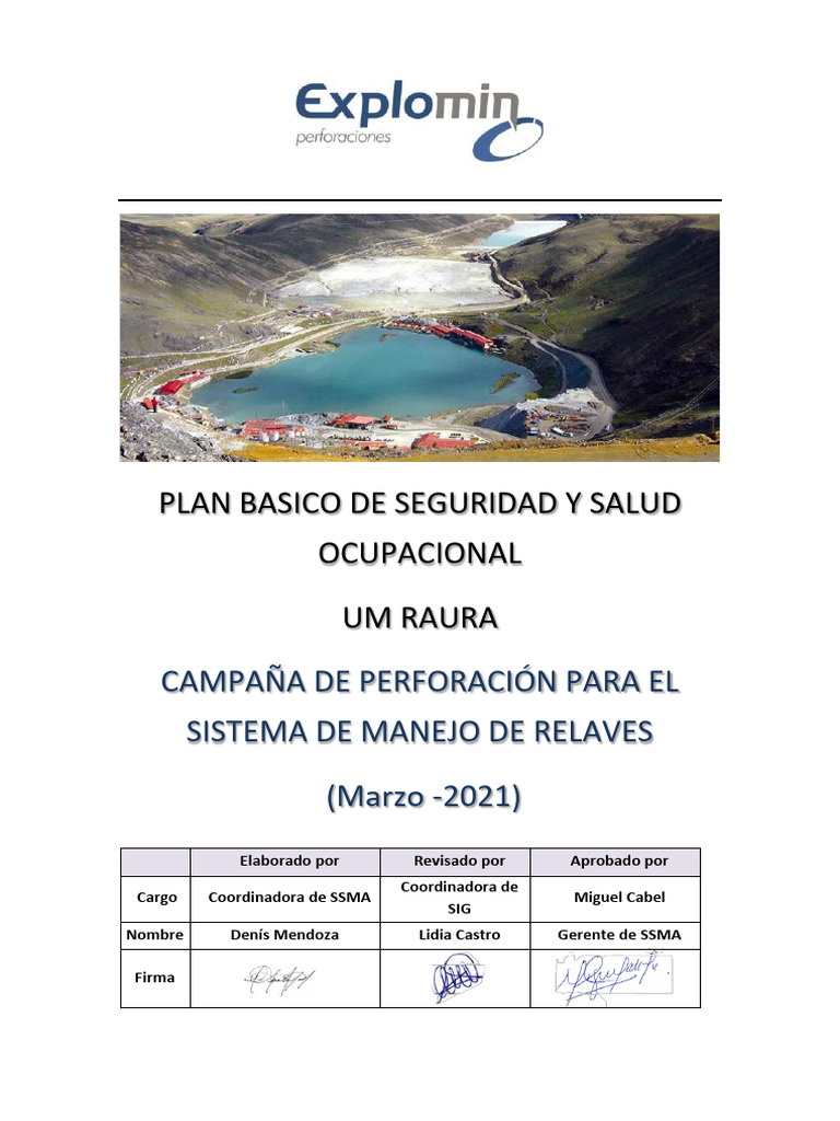 Form 32 Plan Basico SSO (PBSSO) 2021 | PDF | La seguridad informática ...