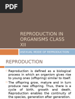Open Science Beyond Borders TextBook 5 (Unit1-Unit4) 3 | PDF