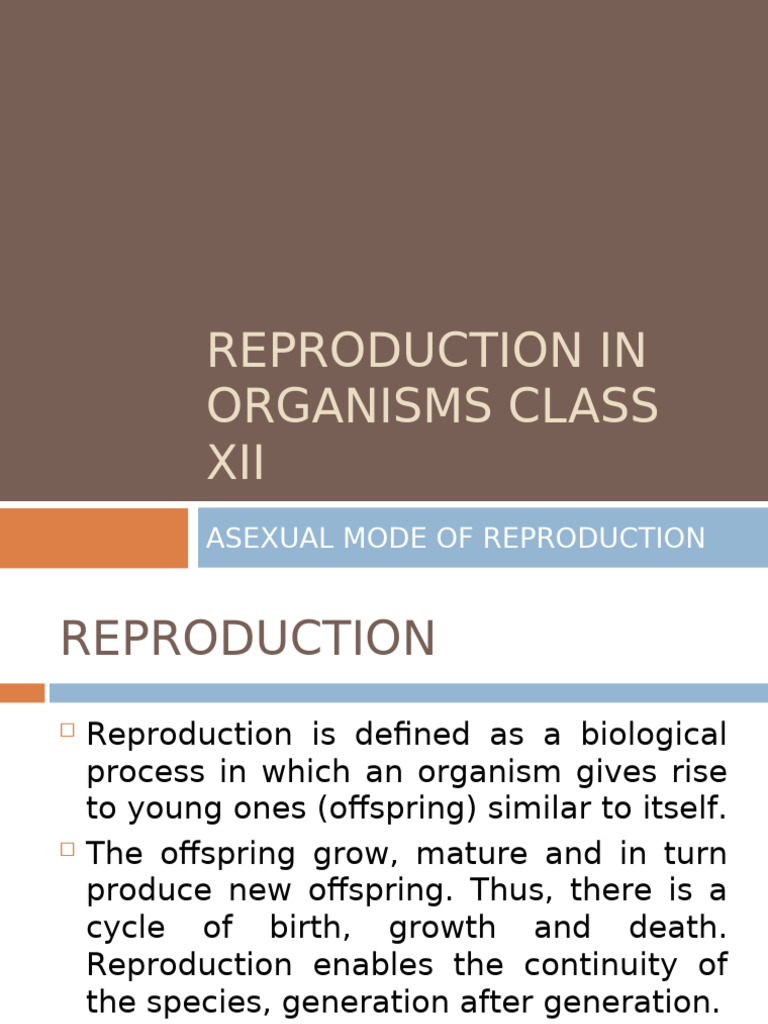 Reproduction in Organisms Class Xii Ch1 | PDF | Fertilisation | Sexual ...