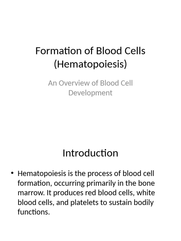 Formation of Blood Cells | PDF