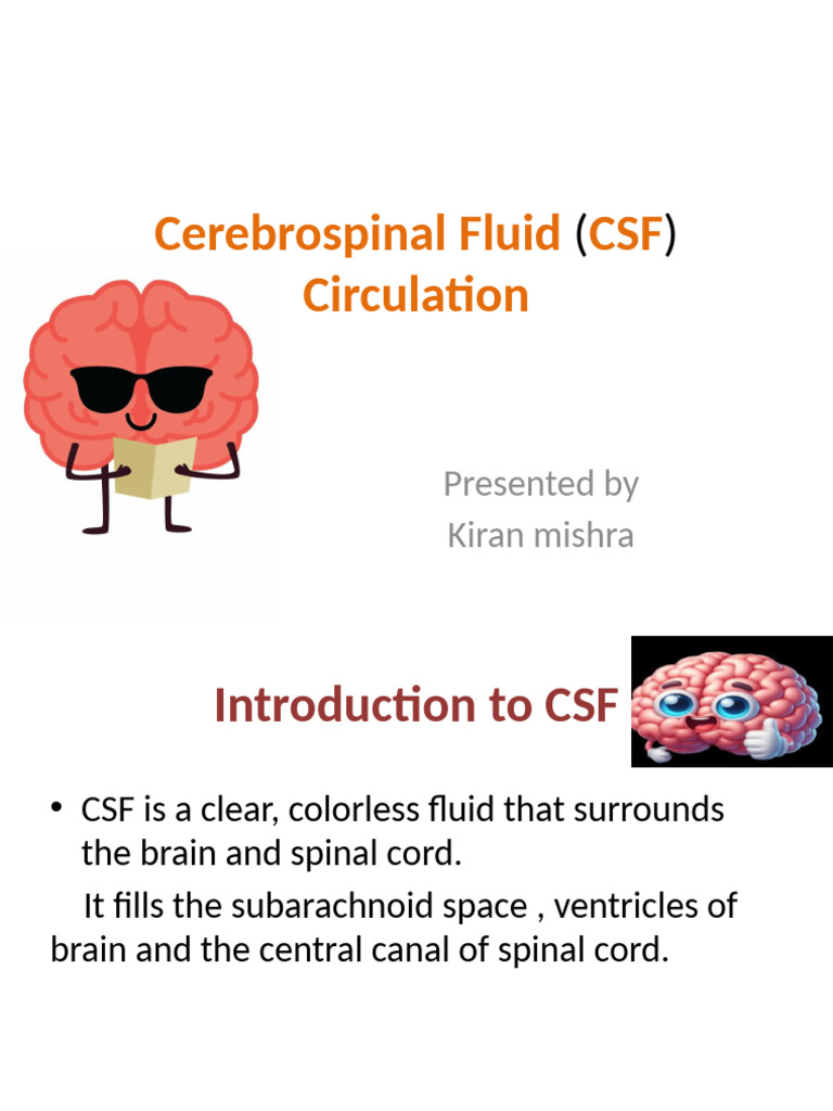 CSF Circulation Presentation | PDF