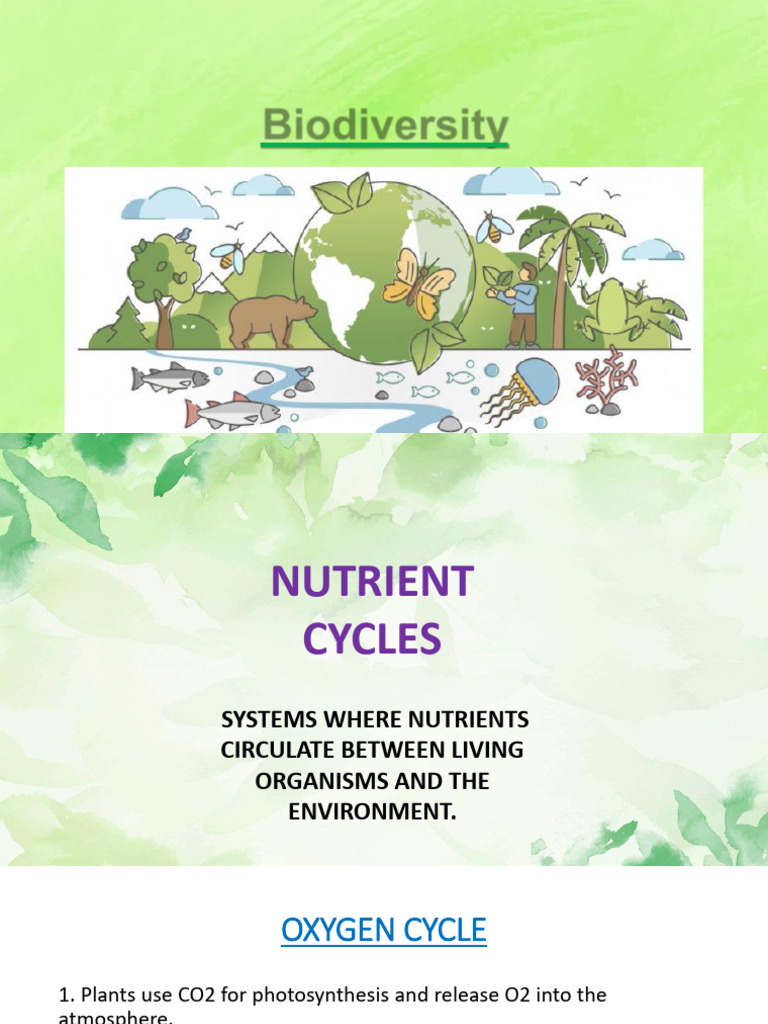 nutrient-cycles | PDF | Carbon Dioxide | Nitrogen