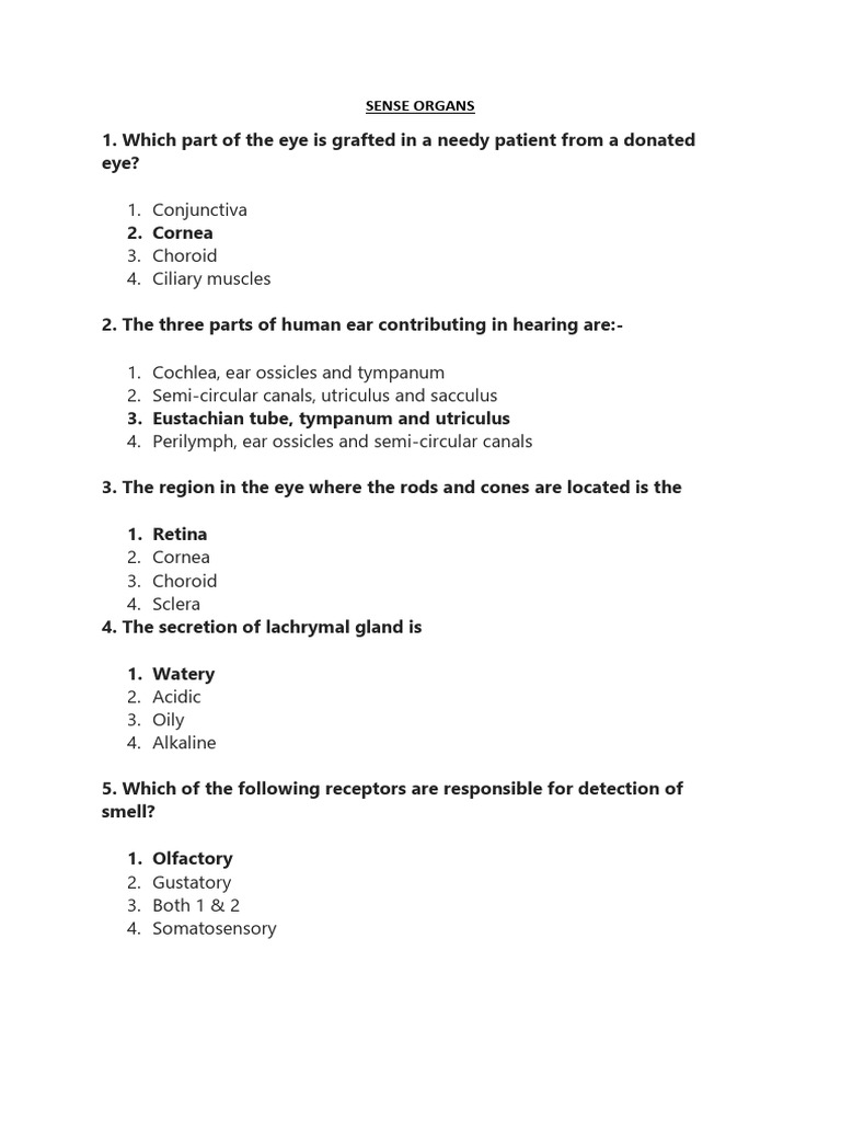SENSE ORGANS | PDF | Skin | Eye