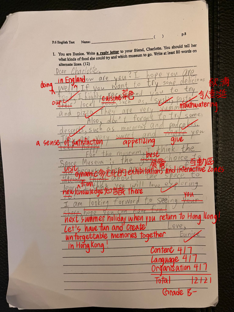 P6 Writing Marked | PDF