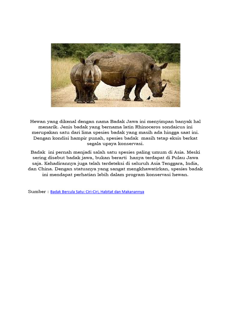 Badak Bercula Satu | PDF