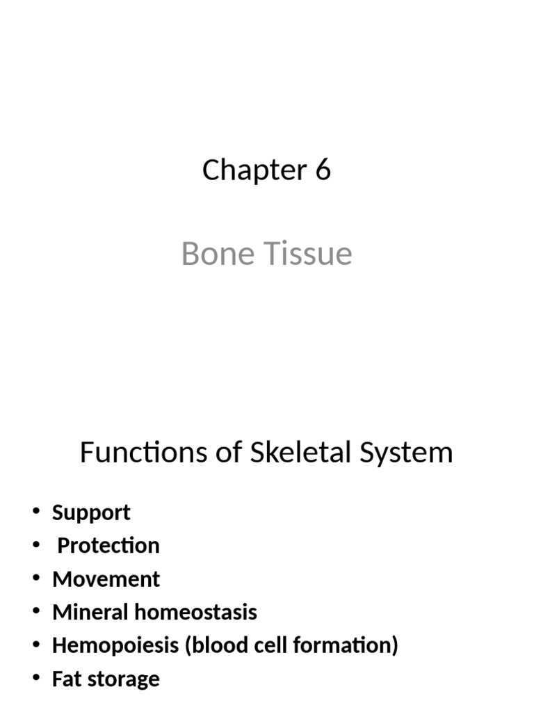 Chapter 6 Bone Tissue 2021 | PDF | Bone | Osteoblast