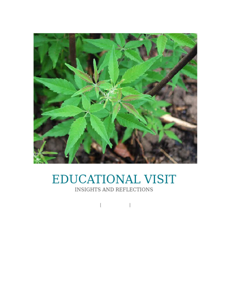 Insights from PITAHC Herbal Visit | PDF