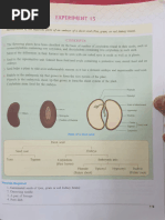 Function and Role of Plumule in Seeds | PDF | Seedling | Biology