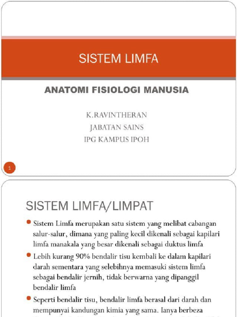 Sistem Limfatik | PDF