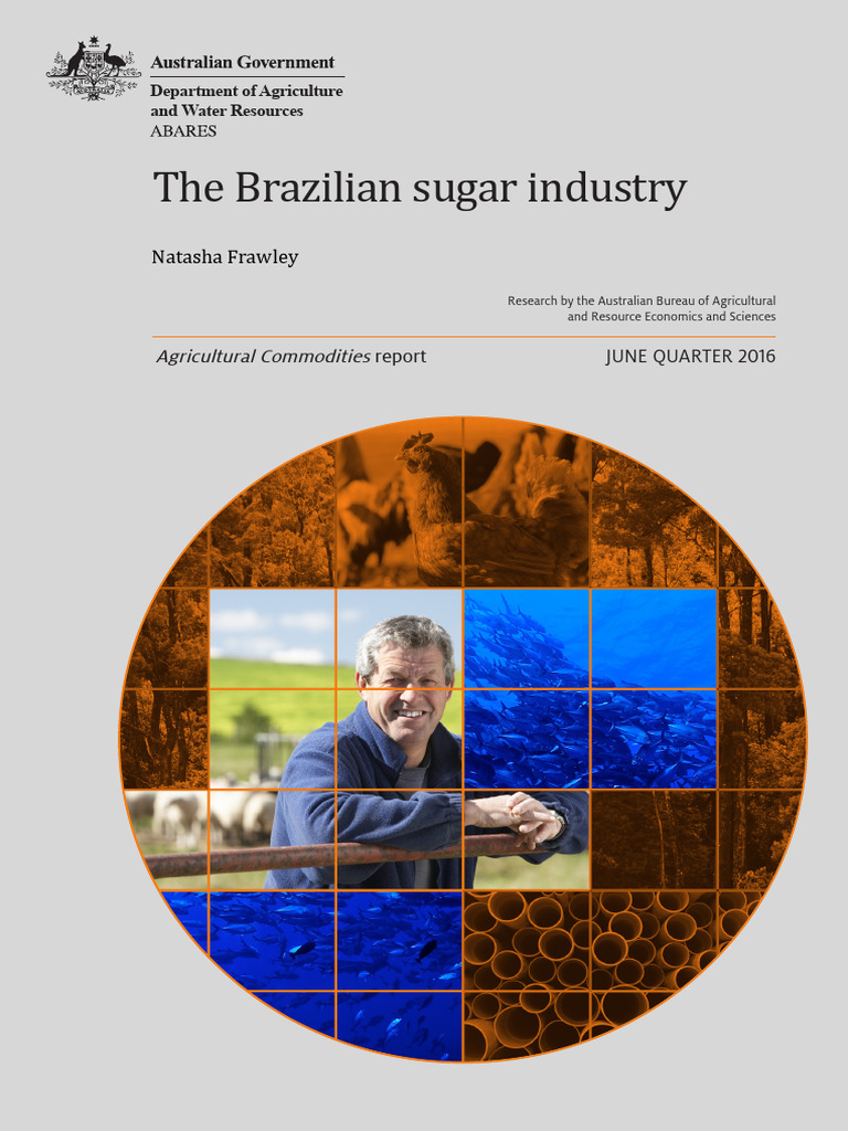 Brazilian Sugar Industry | PDF | Sugarcane | License