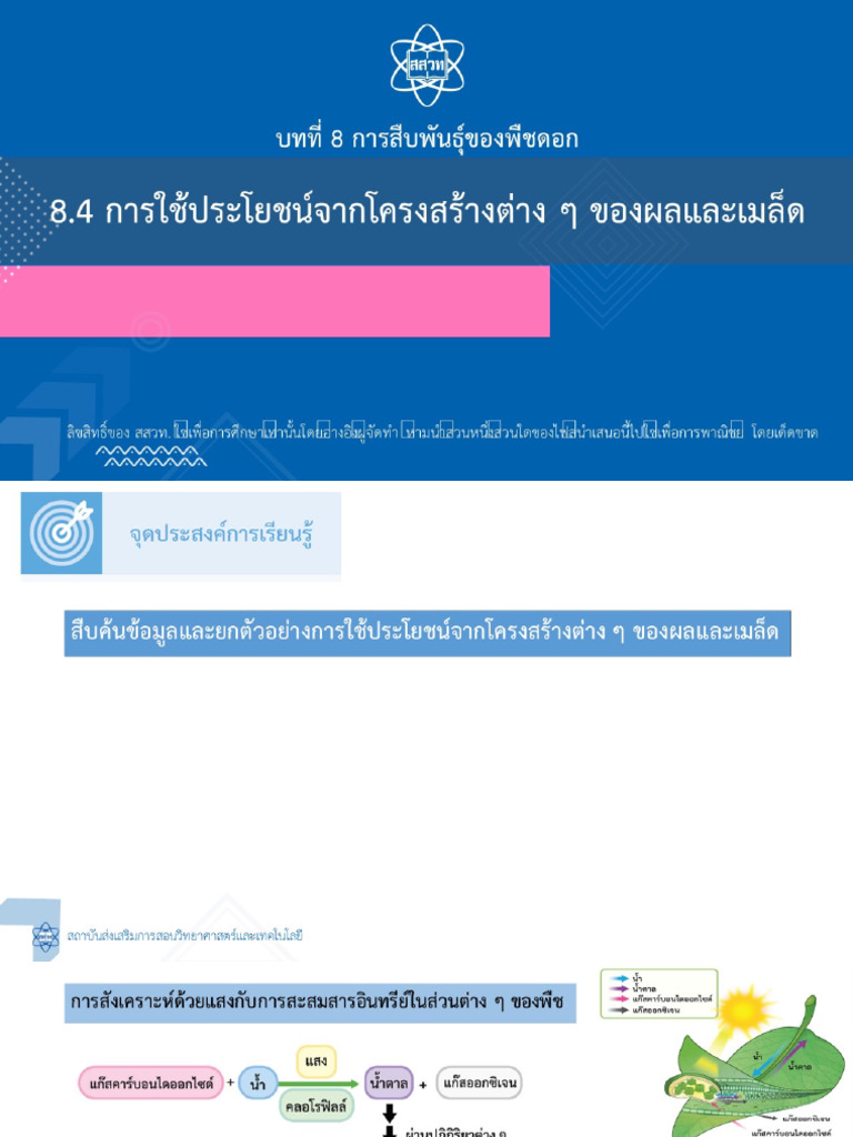 m5 08 4uses of Plant 005 PPT Preview | PDF