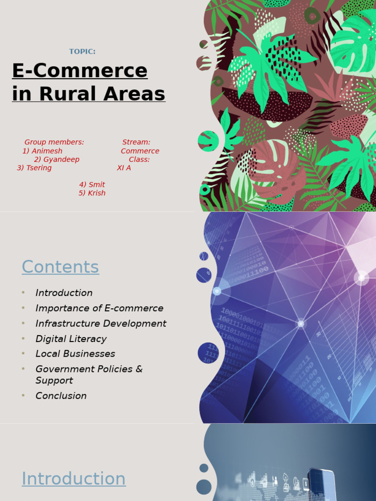 BST Presentation | PDF | E Commerce | Infrastructure