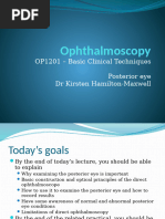 Fundus Diagram Drawing Guide | PDF | Retina | Human Eye