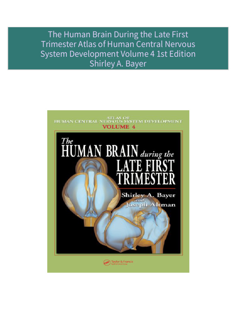 Instant Access to The Human Brain During the Late First Trimester Atlas ... Instant Access to The Human Brain During the Late First Trimester Atlas ...