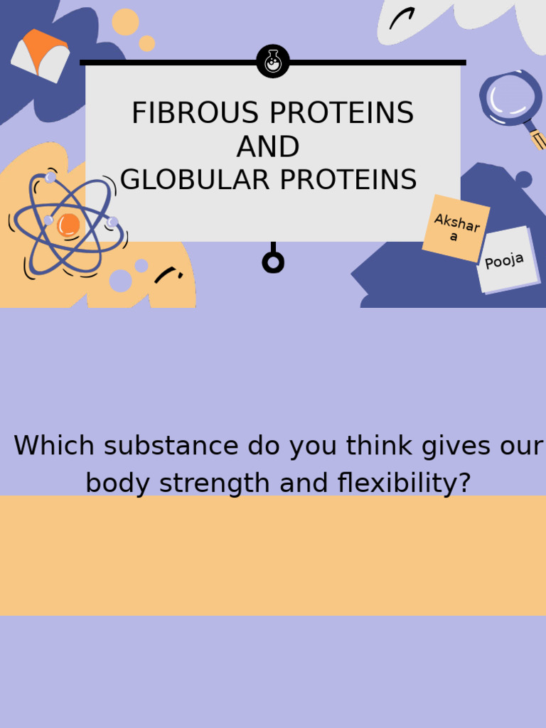 Fibrous Proteins and Globular Proteins | PDF | Proteins | Protein Structure
