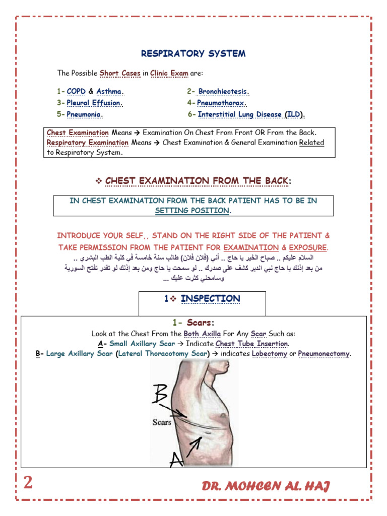 CHEST EXAMINATION | PDF | Respiratory Diseases | Lung