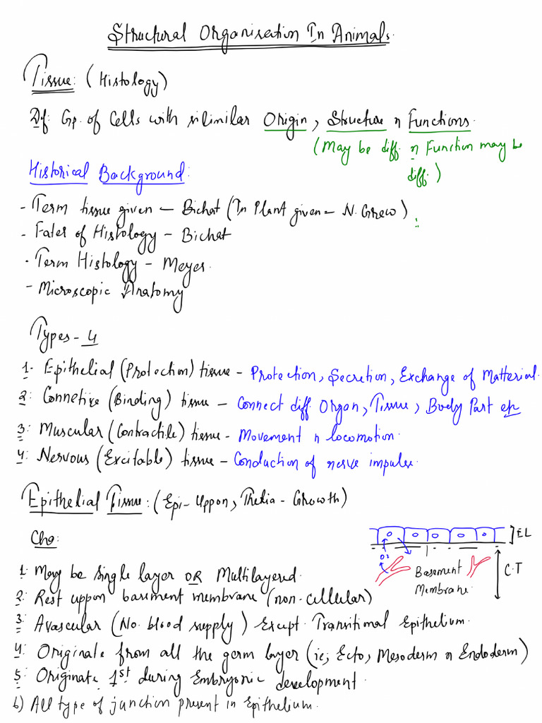 DRG Tissue | PDF