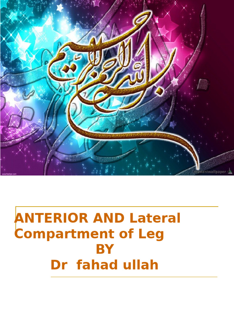 Anterior and Lateral Compartment of Leg | PDF