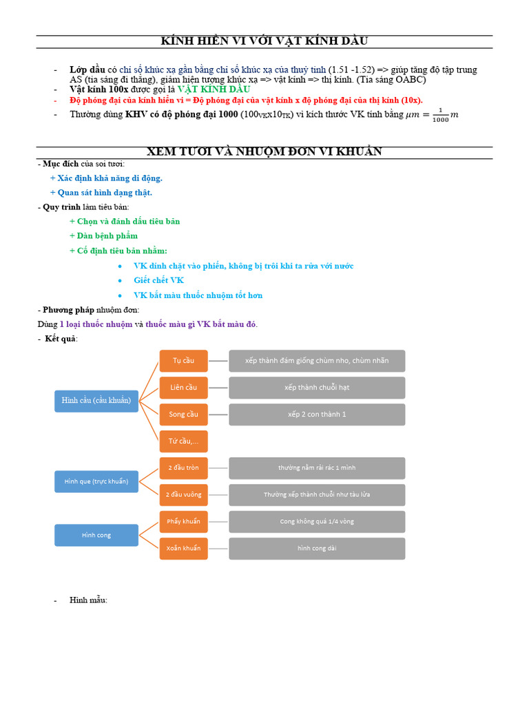 2 TTVS -KVB1 | PDF
