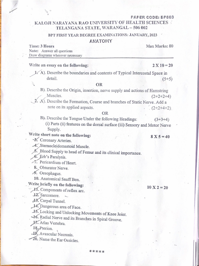 Anatomy Previous Year Questions Papers For BPT | PDF