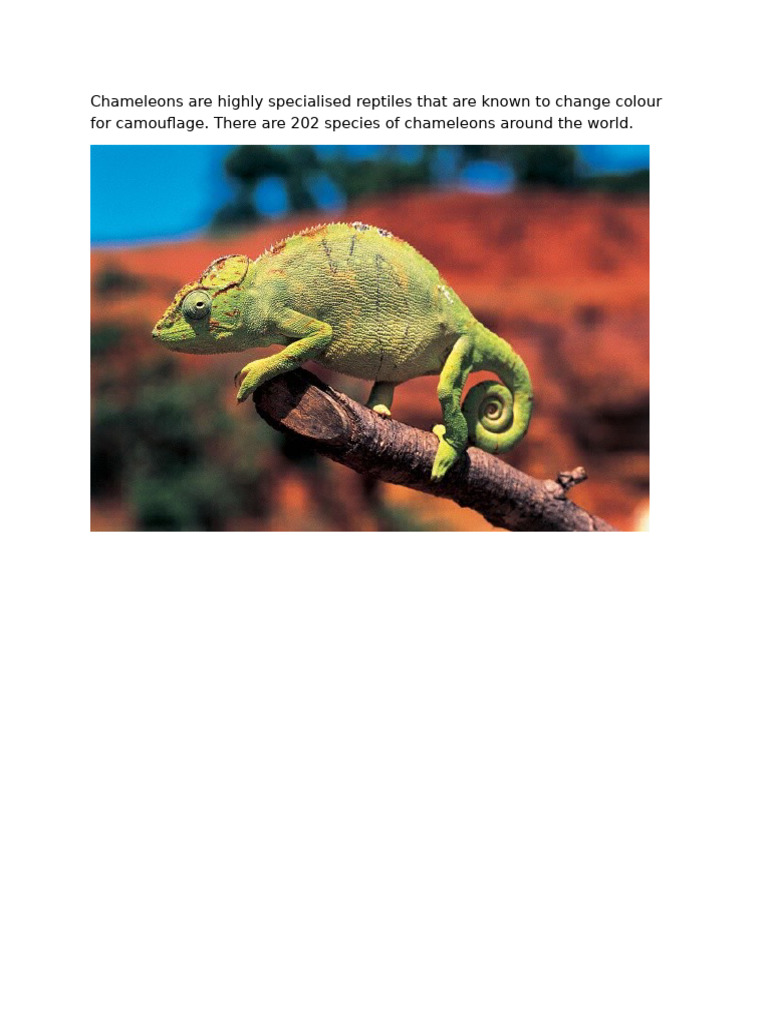 Chamelion | PDF