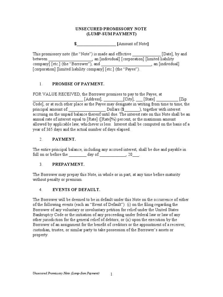 Unsecured Lump-Sum Promissory Note | PDF | Promissory Note | Debtor