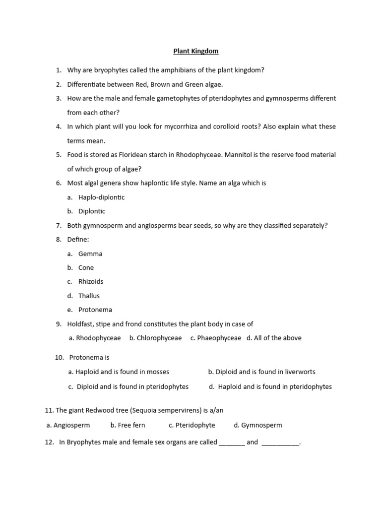 Extra Q-Plant Kingdom | PDF