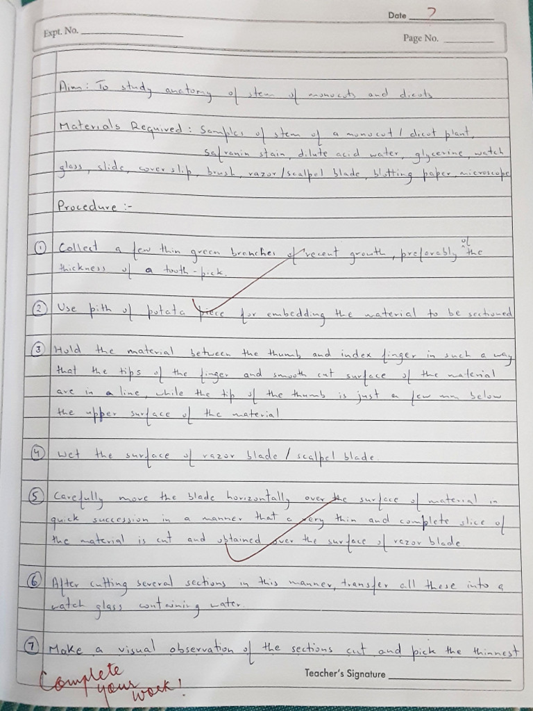 Bio Experiments 4 and 5 Dicot - Monocot Stem and Root | PDF | Plant Stem | Tissue (Biology)