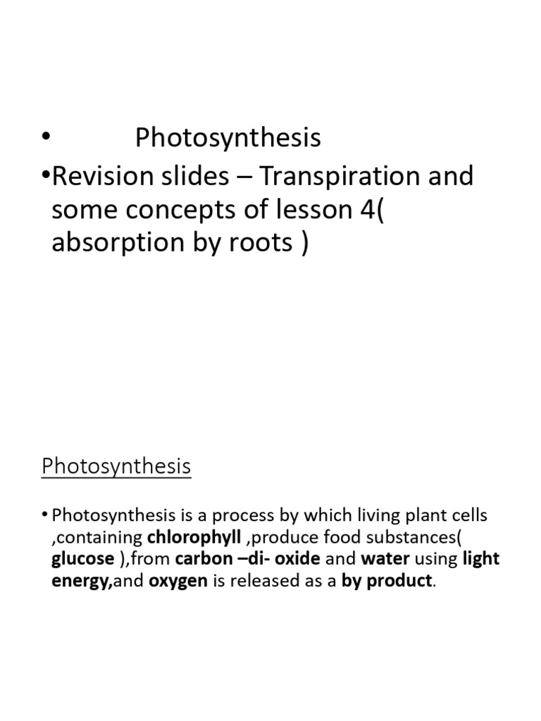 Class 10 ICSE Photosynthesis Guide | PDF | Photosynthesis | Leaf
