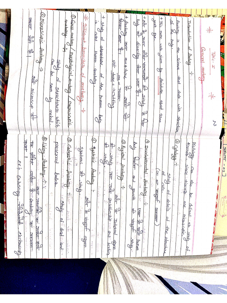 Anatomy Bnys 1st Year | PDF