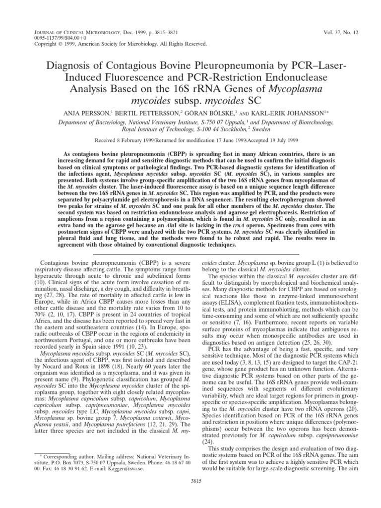 Persson Et Al 1999 Diagnosis of Contagious Bovine Pleuropneumonia by ...