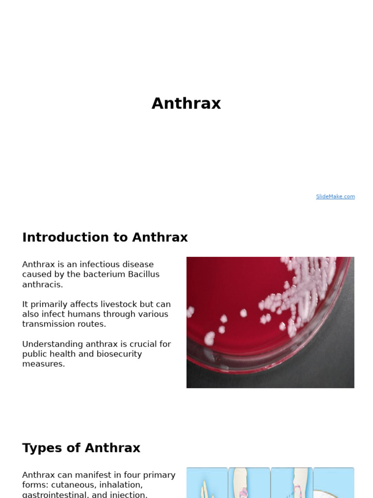 Anthrax | PDF | Anthrax | Infection