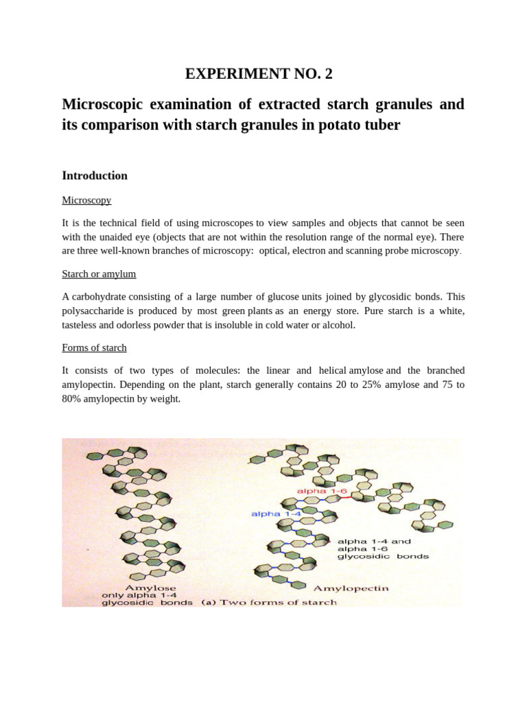 Starch Granule Microscopy Analysis | PDF