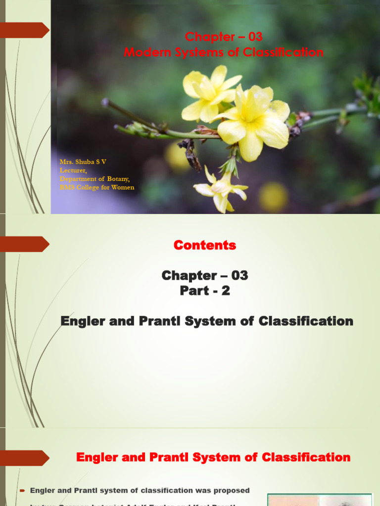 Engler and Prantl Plant Classification System | PDF | Petal | Plants