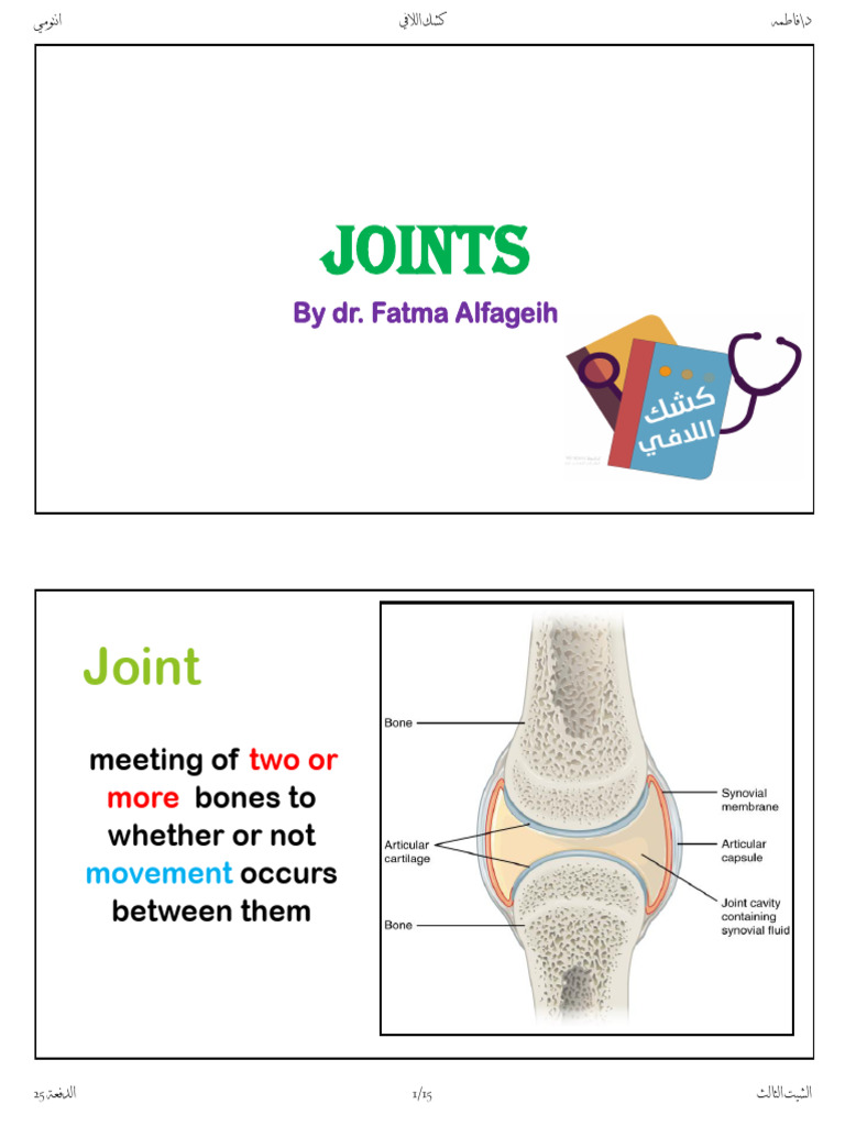 3- joint | PDF | Anatomical Terms Of Motion | Cartilage