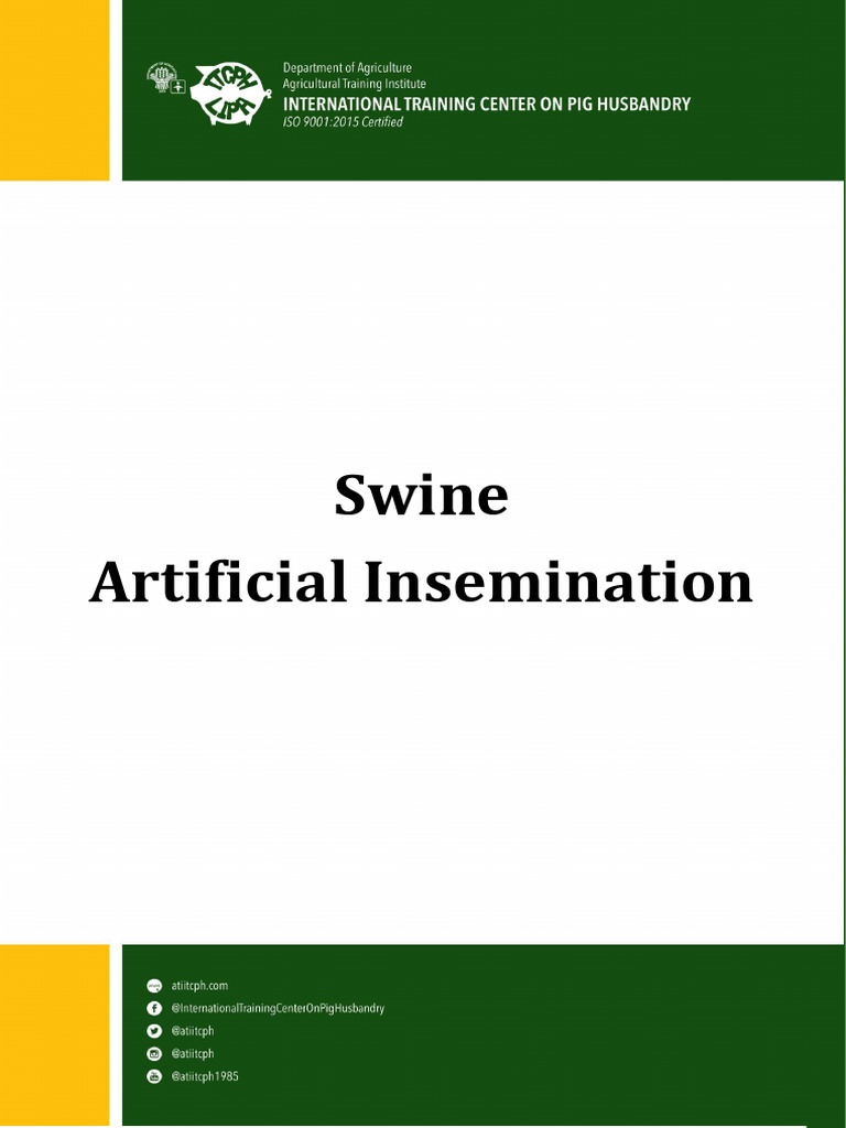 Swine Artificial Insemination (REV 3 in New Template) | PDF | Testicle ...