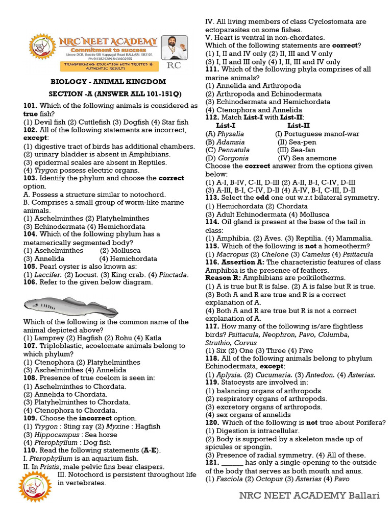 Juniors Bio Qp | PDF | Fish