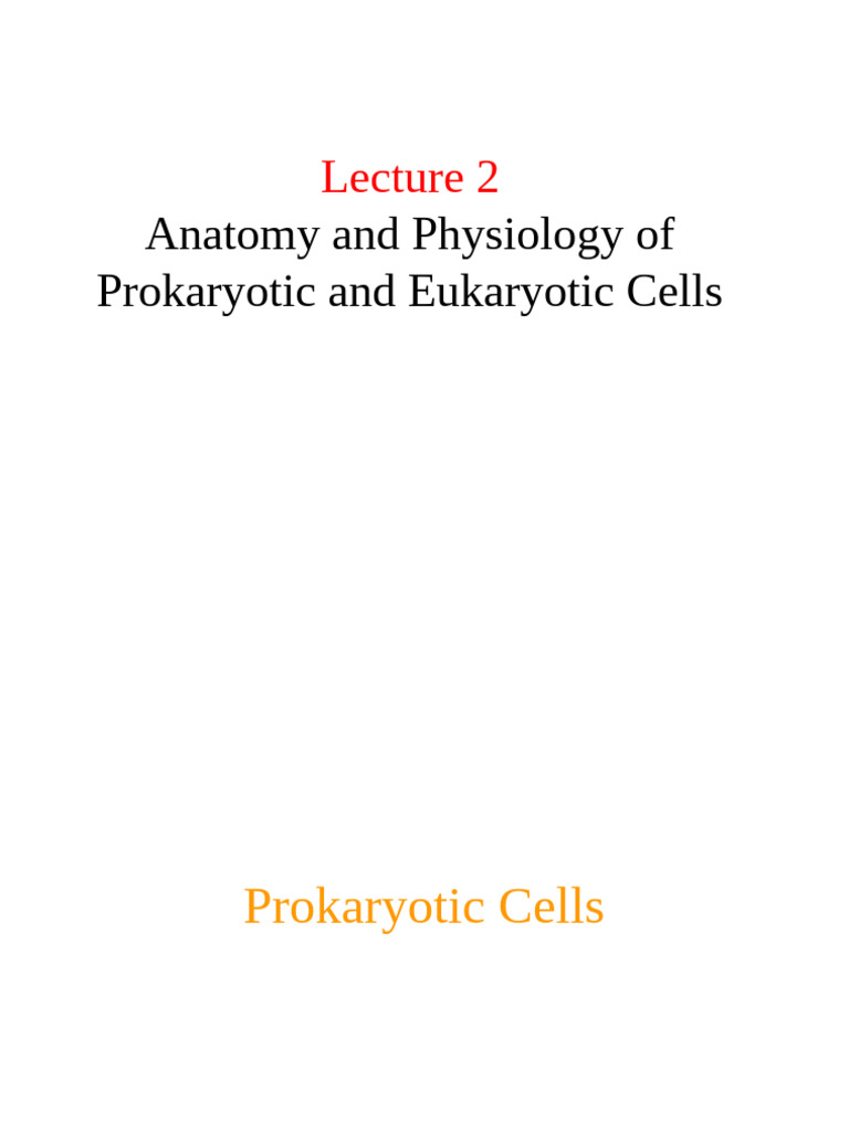 Anatomy and Physiology of Prokaryotic Cells | PDF | Cell (Biology ...