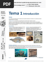 Procesos de Fosilización y Tafonomía | PDF | Fósil | Paleontología