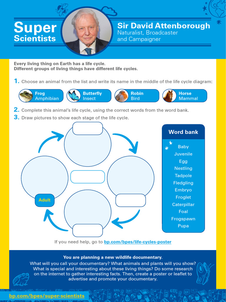 3 David Attenborough Worksheet | PDF