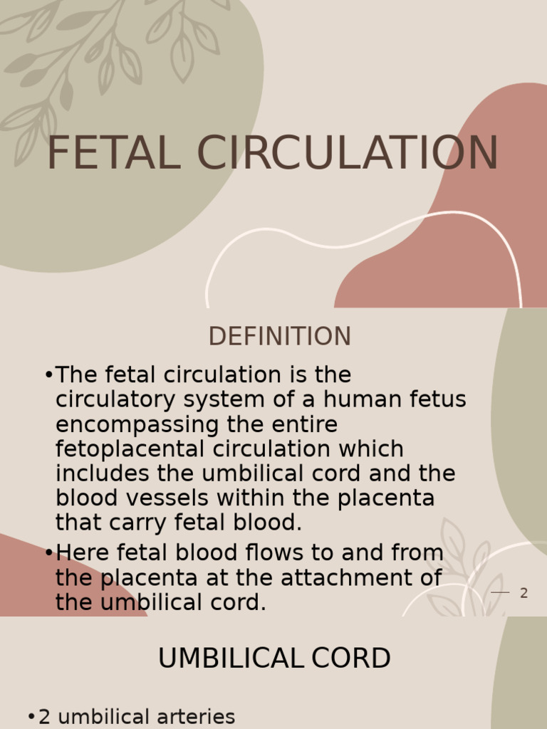 Fetal Circulation | PDF | Fetus | Cardiovascular System