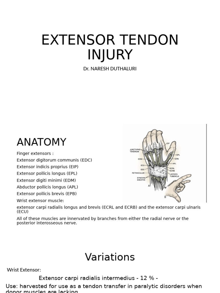 Extensor Injury Part 1 (1) | PDF | Finger | Hand